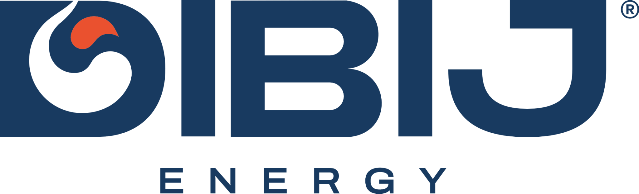 dibijenergy.com – Powering the future of oil & gas development